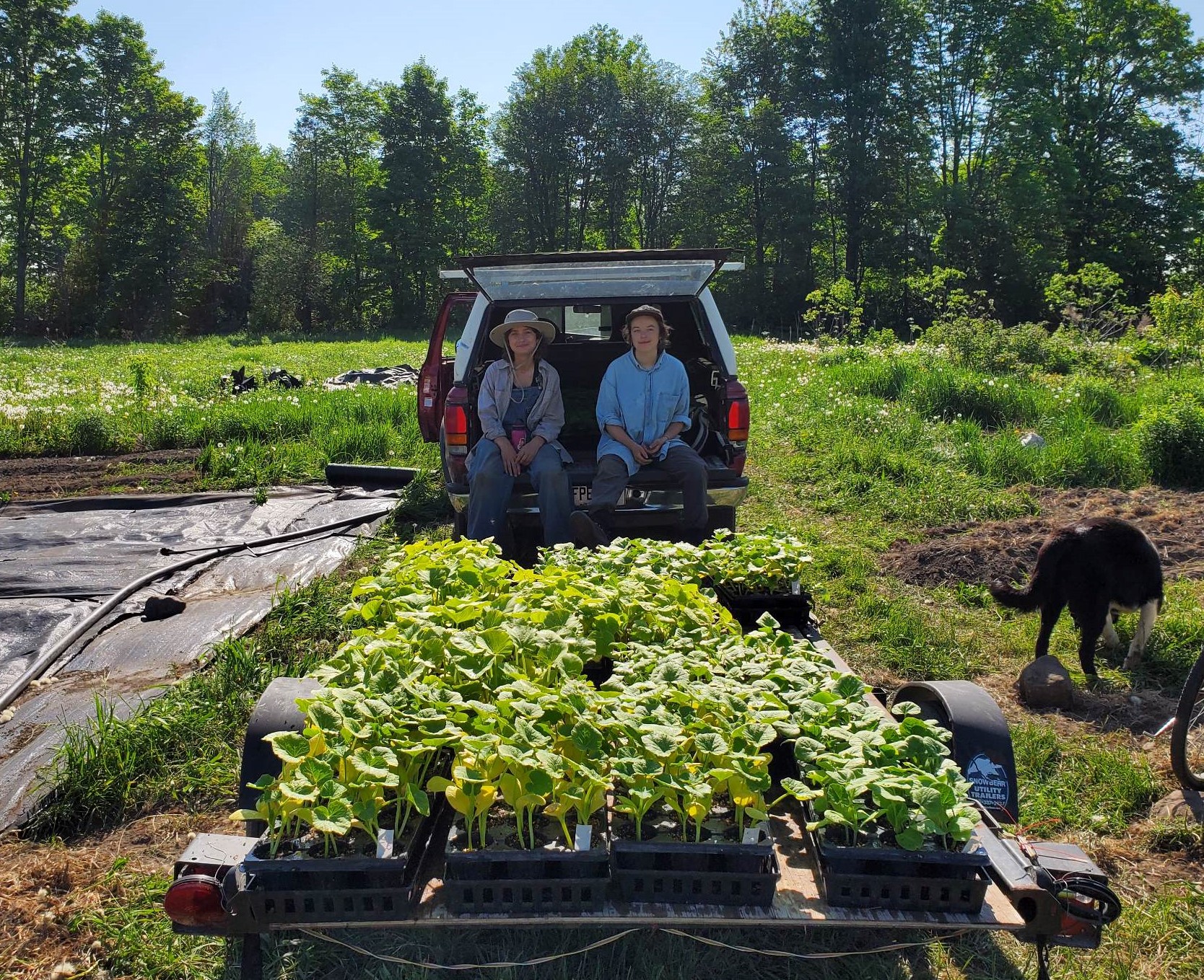 BLOG | Concordia Food Coalition